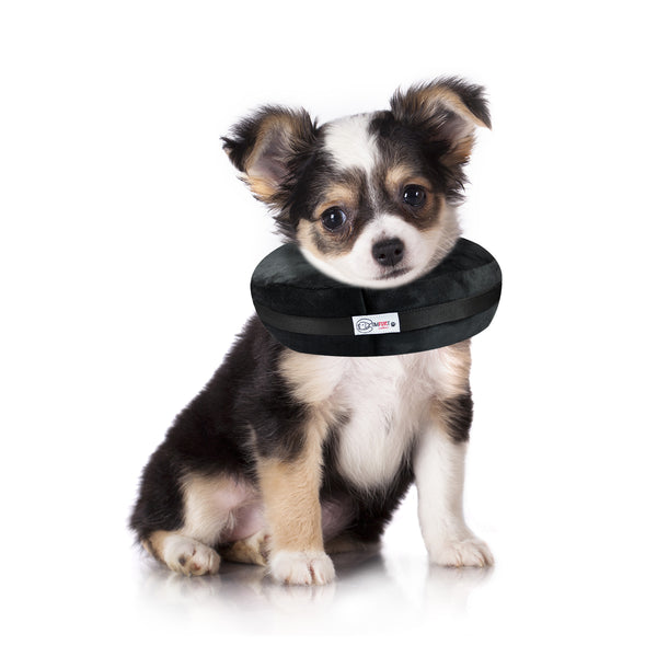 Black Plain Soft Recovery Collar | Comfurt Collar